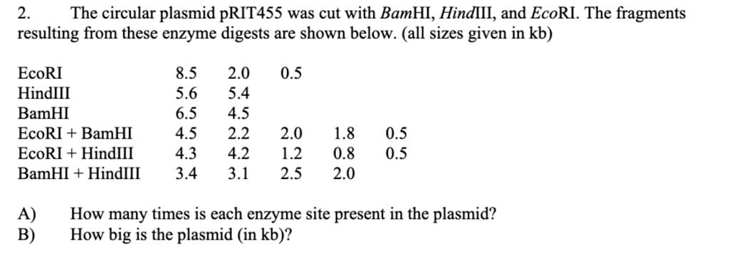 SOLVED: The circular plasmid pRIT4SS was cut with BamHI, HindIII, and EcoRI. The fragments ...