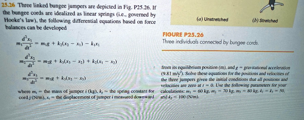 2526 three linked bungee jumpers are depicted in fig p2526 if athe bungee cords are idealized as ...