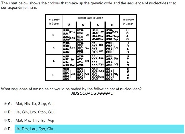 SOLVED: 'What sequence of amino acids would be coded by the following ...
