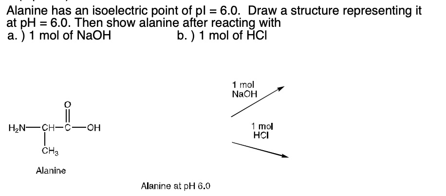 SOLVED: Alanine has an isoelectric point of pl = 6.0 Draw a structure ...