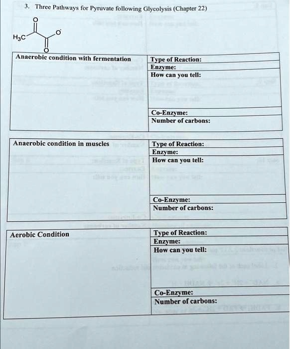 3. Three Pathways for Pyruvate following Glycolysis (Chapter...