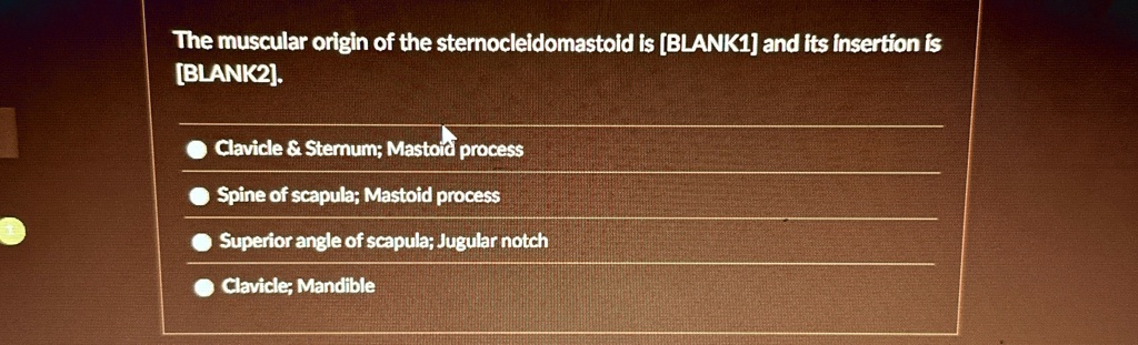 The muscular origin of the sternocleidomastoid is [BLANK1] and its ...