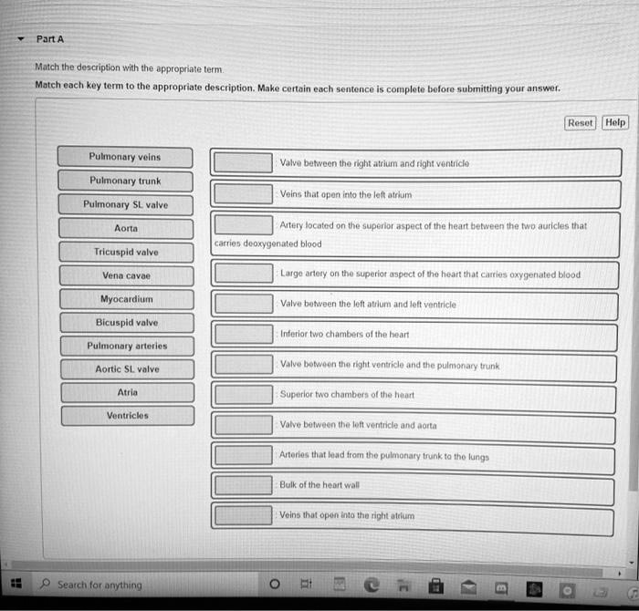 ? Part A Match the description with the appropriate term. Match each key term to the appropriate ...