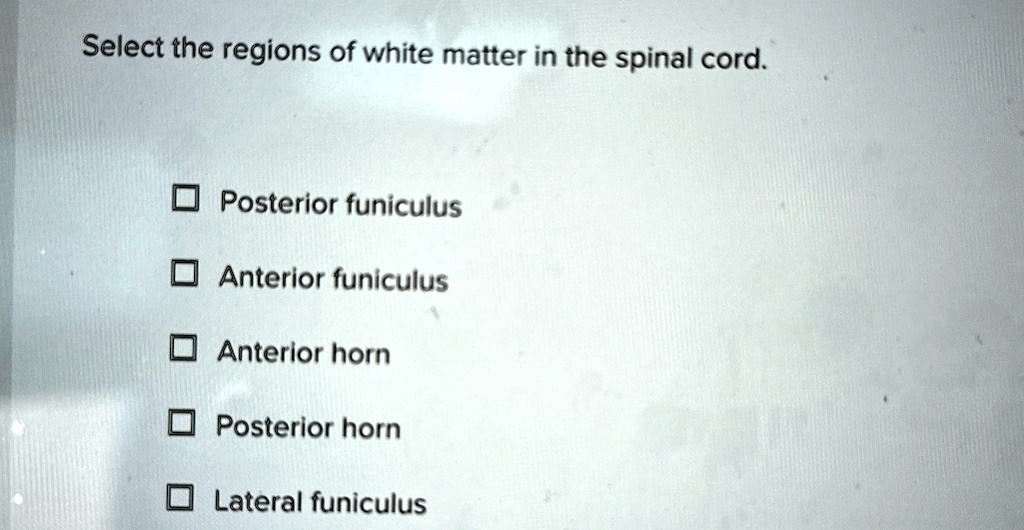 Select the regions of white matter in the spinal cord. Posterior ...