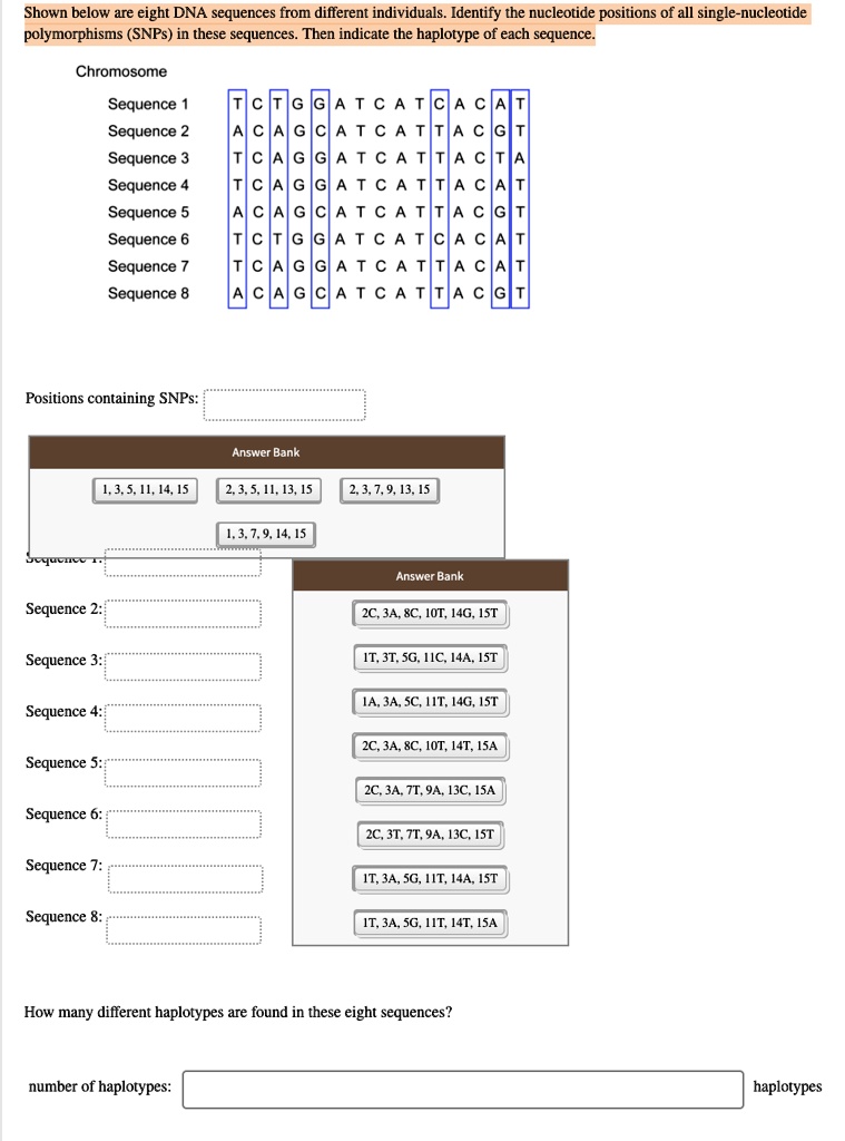 shown below are eight dna sequences from different individuals identify the nucleotide positions ...