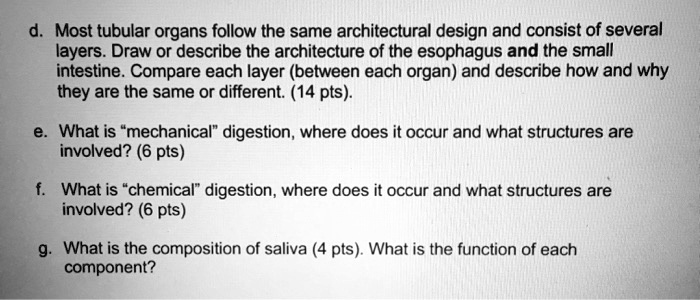 most tubular organs follow the same architectural design and consist of ...