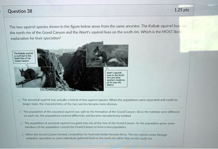 SOLVED: The two squirrel species shown in the figure below are from the ...