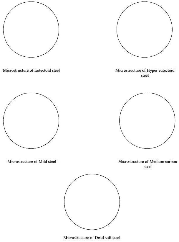 Solved Draw The Microstructures Inside The Circles Microstructure Of