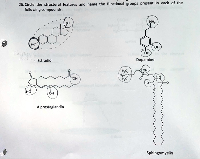 SOLVED: 26.Circle the structural features and name the functional groups present in each of the ...