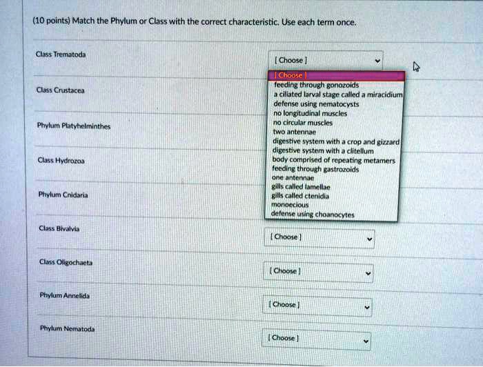 SOLVED: Match the Phylum or Class with the correct characteristic. Use each term once. Class ...