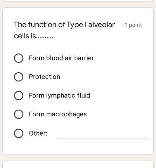 SOLVED: The function of Type l alveolar 1 point cells is. Form blood ...