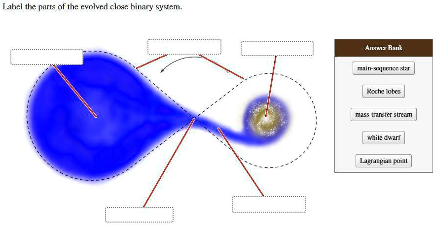 SOLVED: Label the parts of the evolved close binary system. Answer Bank: main-sequence star ...