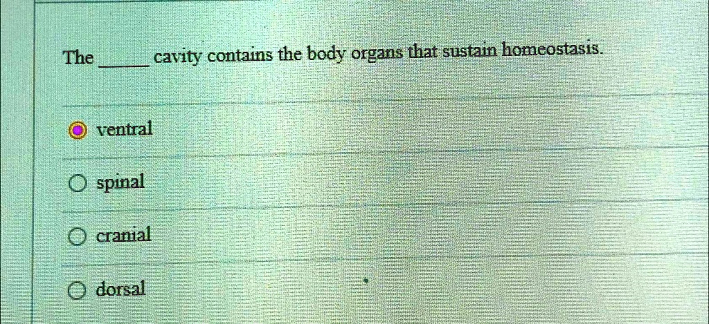 The cavity contains the body organs that sustain homeostasis. ventral ...