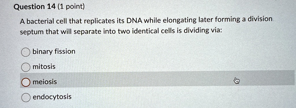 question 14 1 point a bacterial cell that replicates its dna while ...