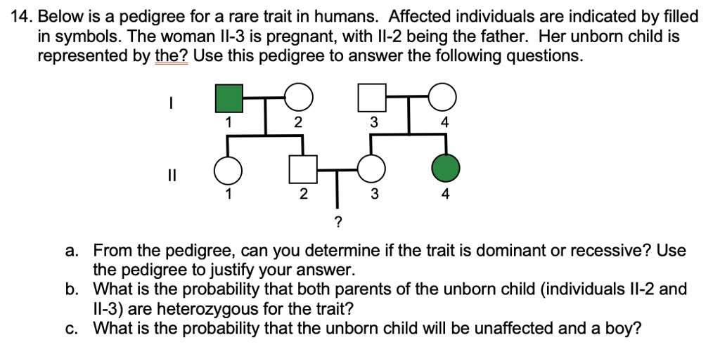 SOLVED: 14. Below is a pedigree for a rare trait in humans: Affected ...