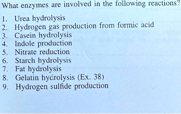 SOLVED: What enzymes are involved in the following reactions? 1. Urea ...