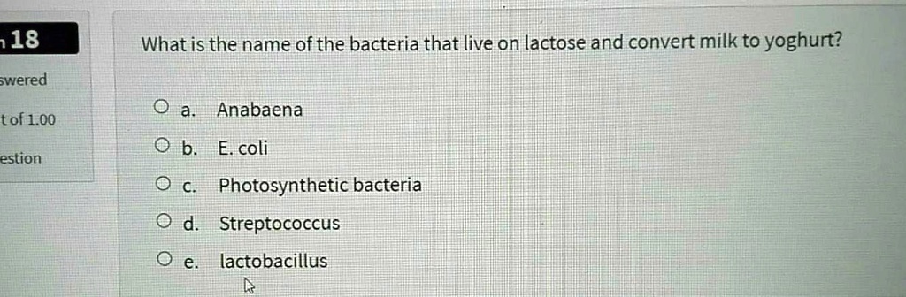 118 what is the name of the bacteria that live on lactose and convert ...