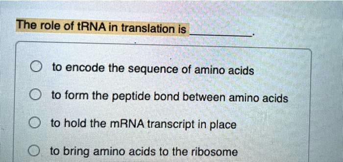the role of irna in translation is to encode the sequence of amino ...