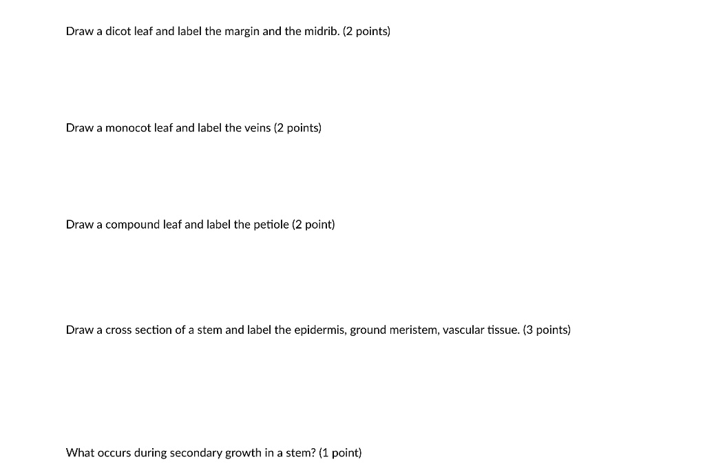 SOLVED: Draw dicot leaf and label the margin and the midrib. points ...