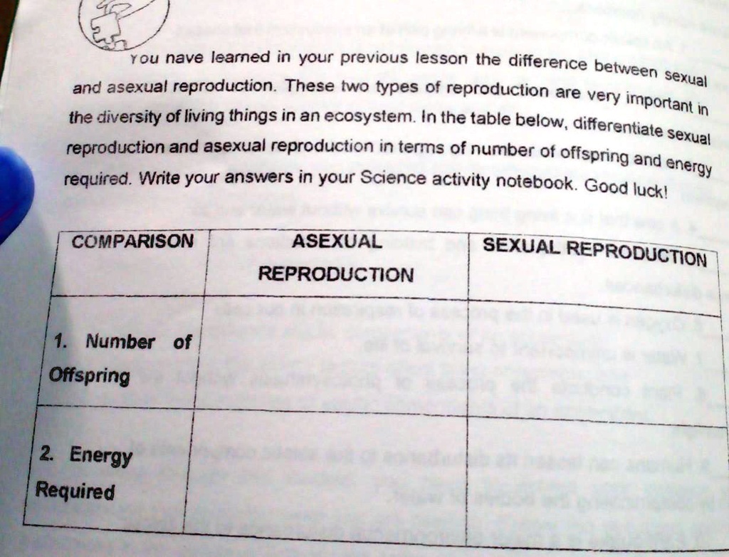 SOLVED: You have learned in your previous lesson the difference between ...