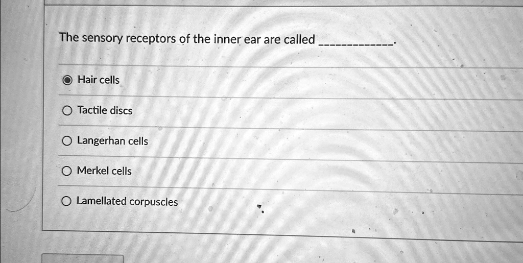 the sensory receptors of the inner ear are called hair cells tactile ...