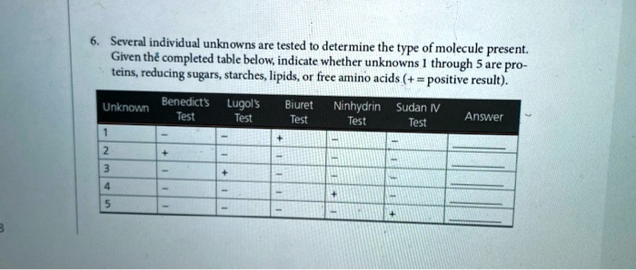 SOLVED: Several individual unknowns are tested to determine the type of ... SOLVED: Several individual unknowns are tested to determine the type of ...