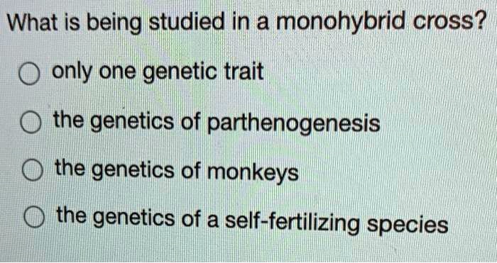 SOLVED: What is being studied in a monohybrid cross? only one genetic ...