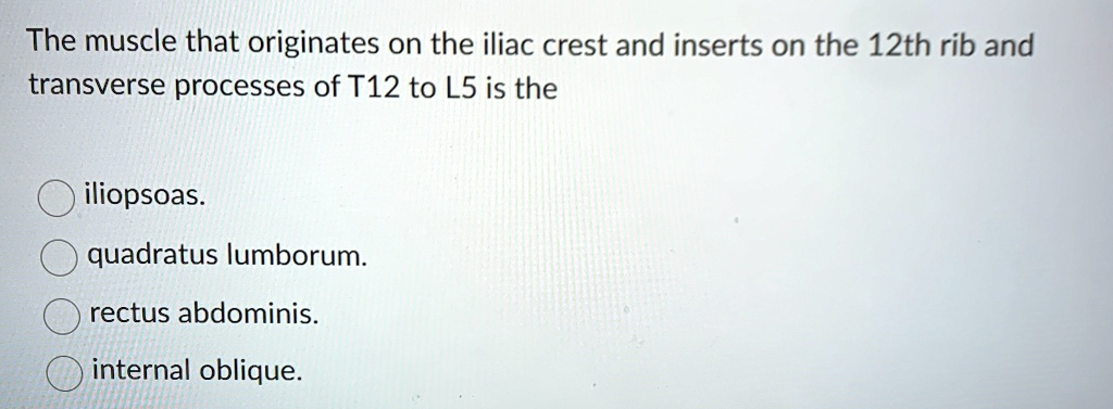 the muscle that originates on the iliac crest and inserts on the 12th ...