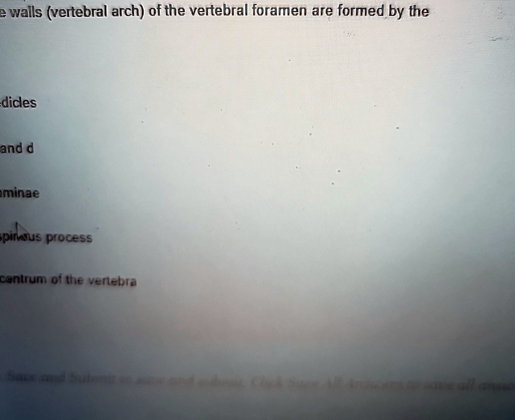 walls (vertebral arch) of the vertebral foramen are formed by the ...