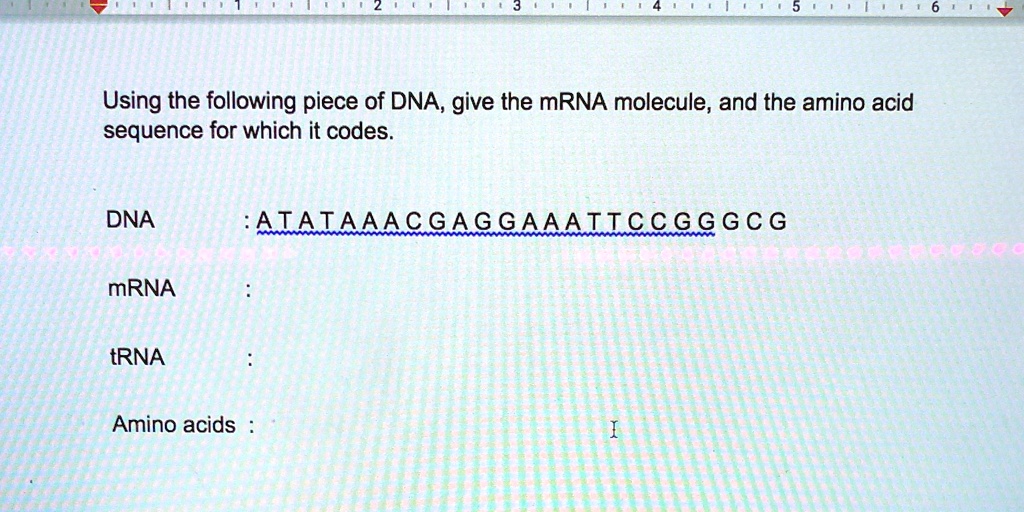 using the following piece of dna give the mrna molecule and the amino ...