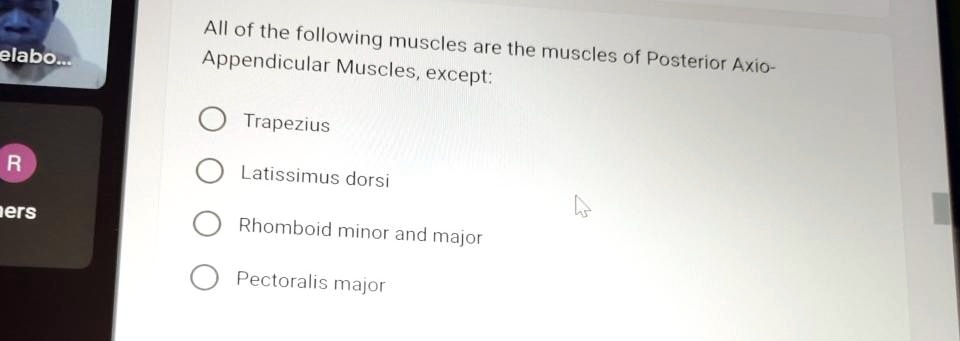 All of the following muscles are the muscles of Posterior Axio ...