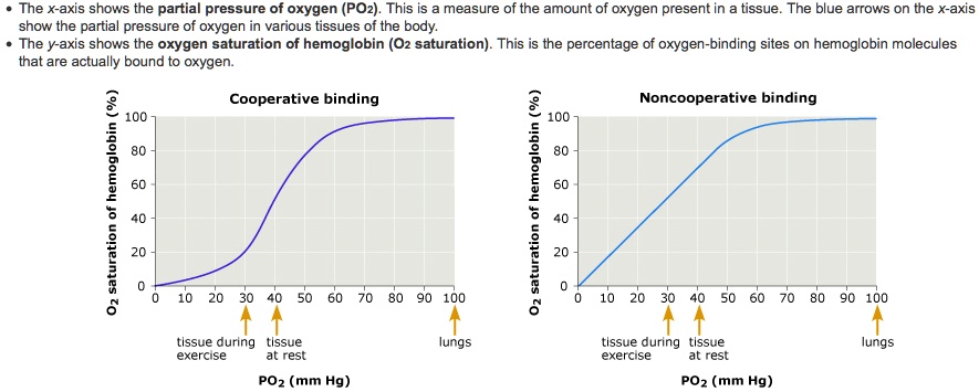 SOLVED: The x-axis shows the partial pressure of oxygen (PO2): This is ...