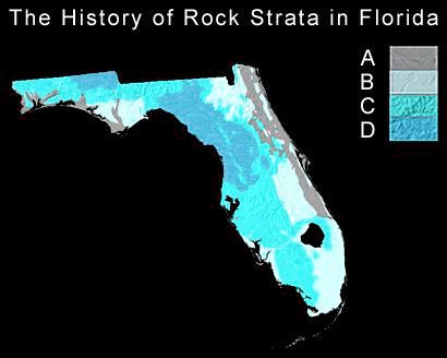 The History of Rock Strata in Florida
