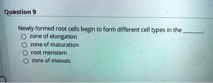 SOLVED: Question 9 Newly-formed root cells begin to form different cell ...