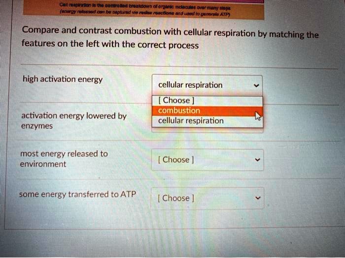 compare and contrast combustion with cellular respiration by matching ...