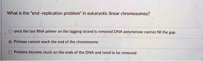 SOLVED: What is the "end -replication problem" in eukaryotic Iinear ...