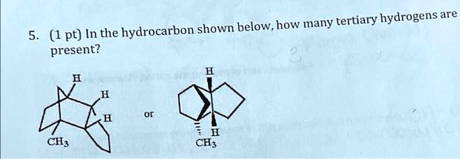 SOLVED: Tertiary hydrogens are (1 pt). In the hydrocarbon shown below, how many are present? CH3 CH3