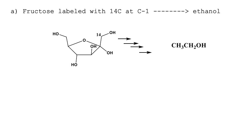 SOLVED: a) Fructose labeled with 14C at C-1 ethanol HO OH CH;CHzOH OH HO
