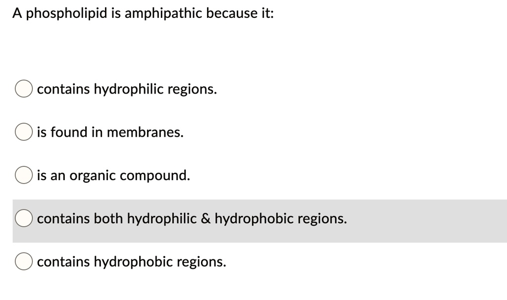 SOLVED: phospholipid is amphipathic because it: contains hydrophilic ...