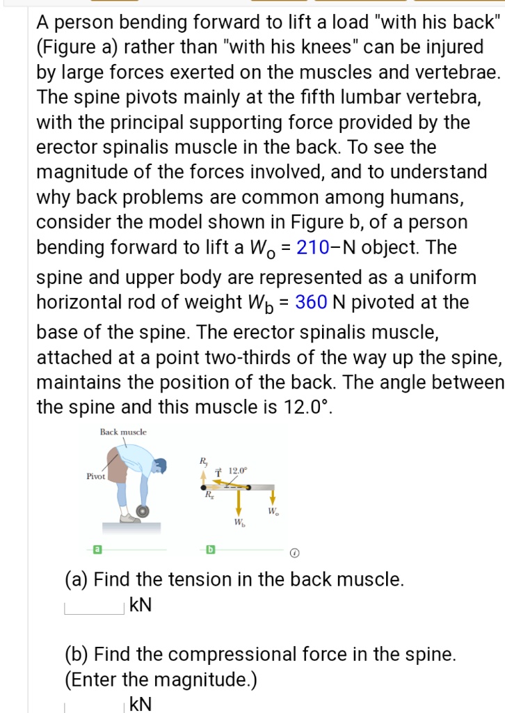 SOLVED: A person bending forward to lift a load "with his back" (Figure ...