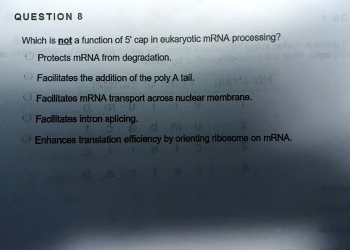 Which is not a function of 5' cap in eukaryotic mRNA processing ...