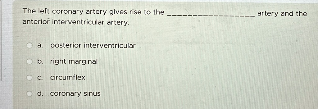 The left coronary artery gives rise to the artery and the anterior ...