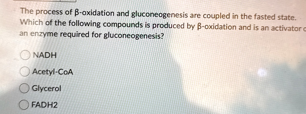 the process of beta oxidation and gluconeogenesis are coupled in the ...