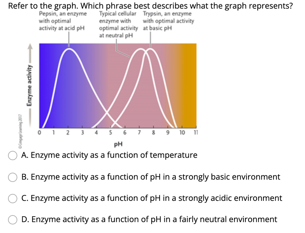 Refer to the graph. Which phrase best describes what the graph ...
