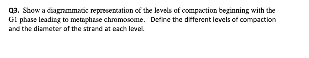 SOLVED:Q3. Show diagrammatic representation of the levels of compaction ...
