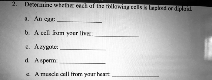 SOLVED: Determine whether each of the following cells is haploid or ...