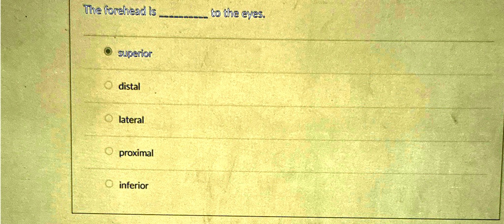 The forehead is superior to the eyes. distal lateral proximal inferior ...