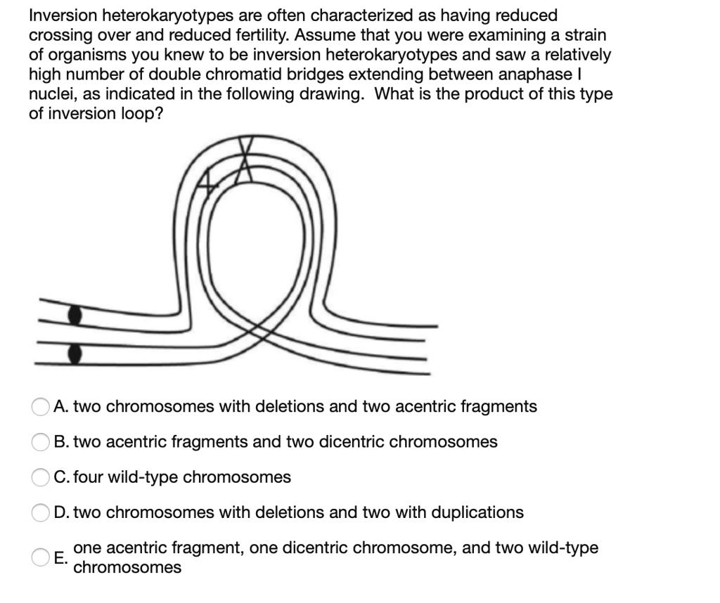 Solved Inversion Heterokaryotypes Are Often Characterized As Having Reduced Crossing Over And
