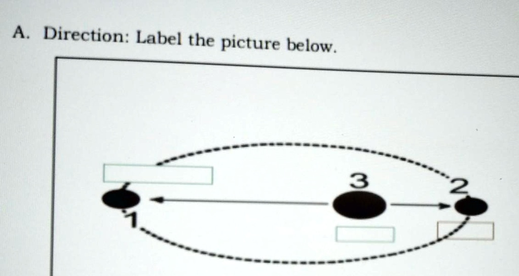 SOLVED: 'A. Direction: Label the picture below. 3 o A Direction: Label ...