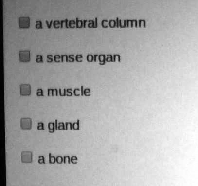 SOLVED: 'which structure(s) are connected to the peripheral nervous system? select all that ...